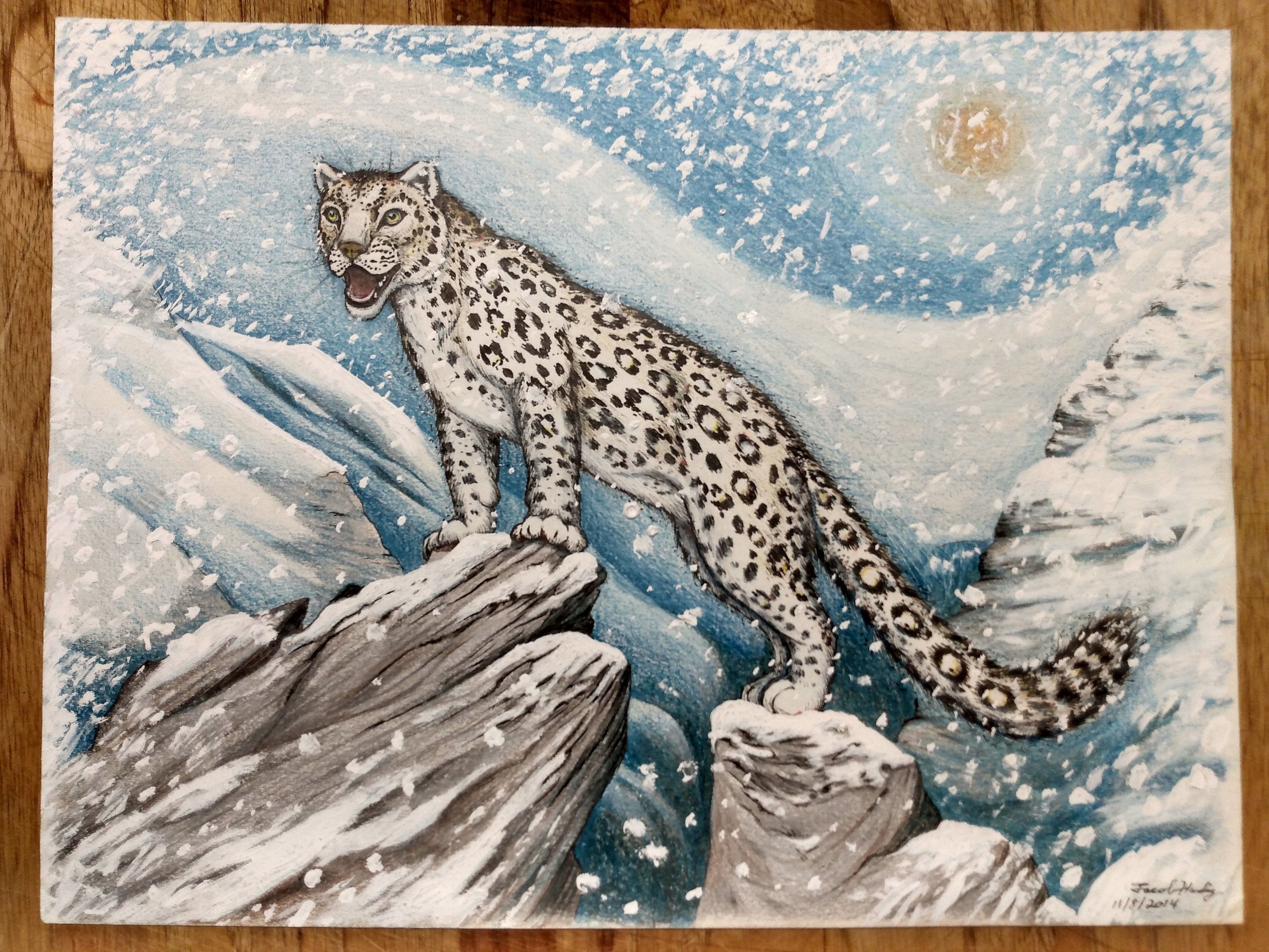 Snow Leopard Original Drawing - Etsy
