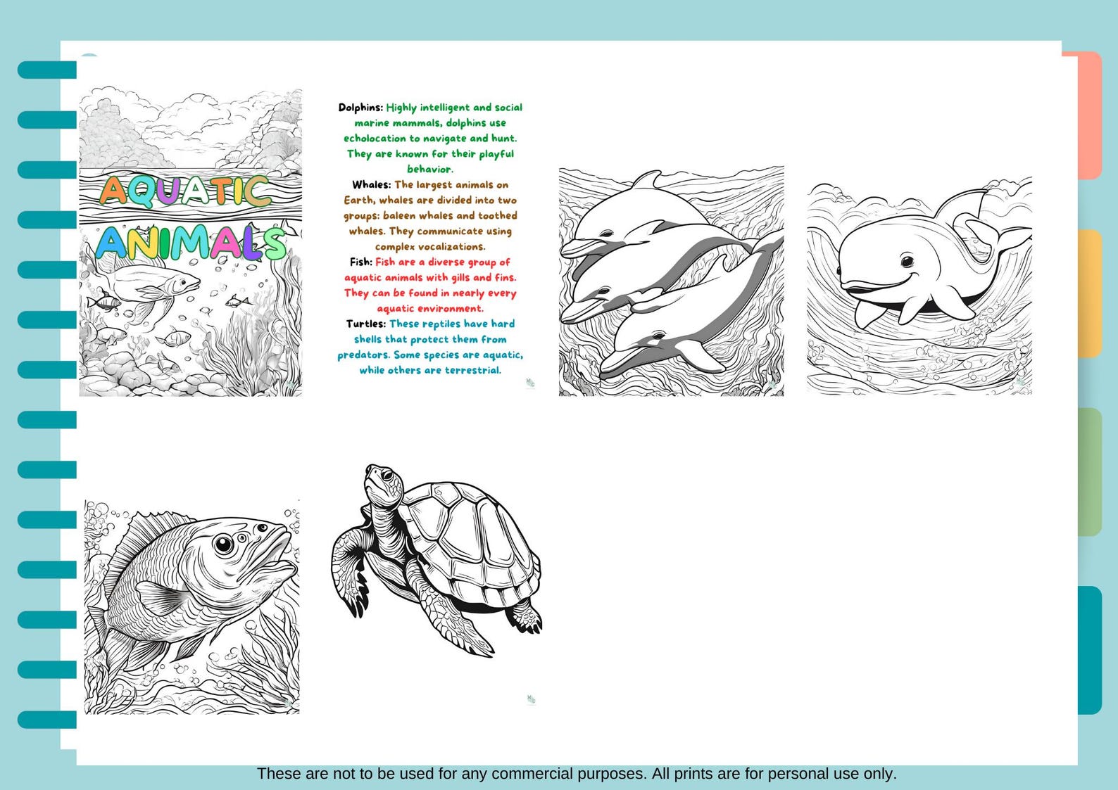 Educational Animal Coloring Pad, Coloring Pages, Activity Worksheets - Etsy