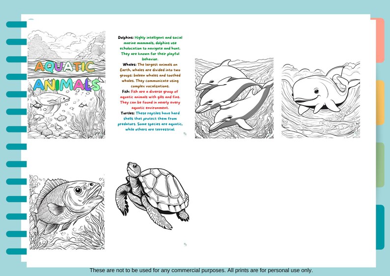 Educational Animal Coloring Pad, Coloring Pages, Activity Worksheets - Etsy