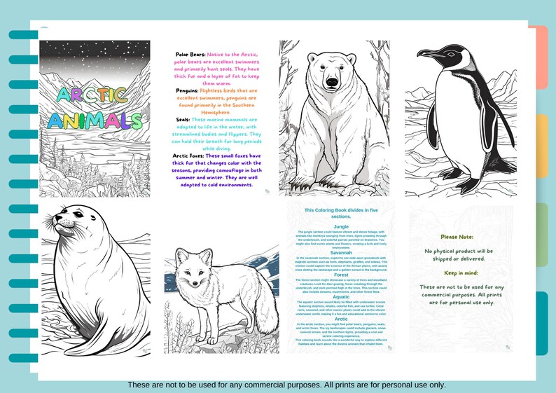 Educational Animal Coloring Pad, Coloring Pages, Activity Worksheets - Etsy