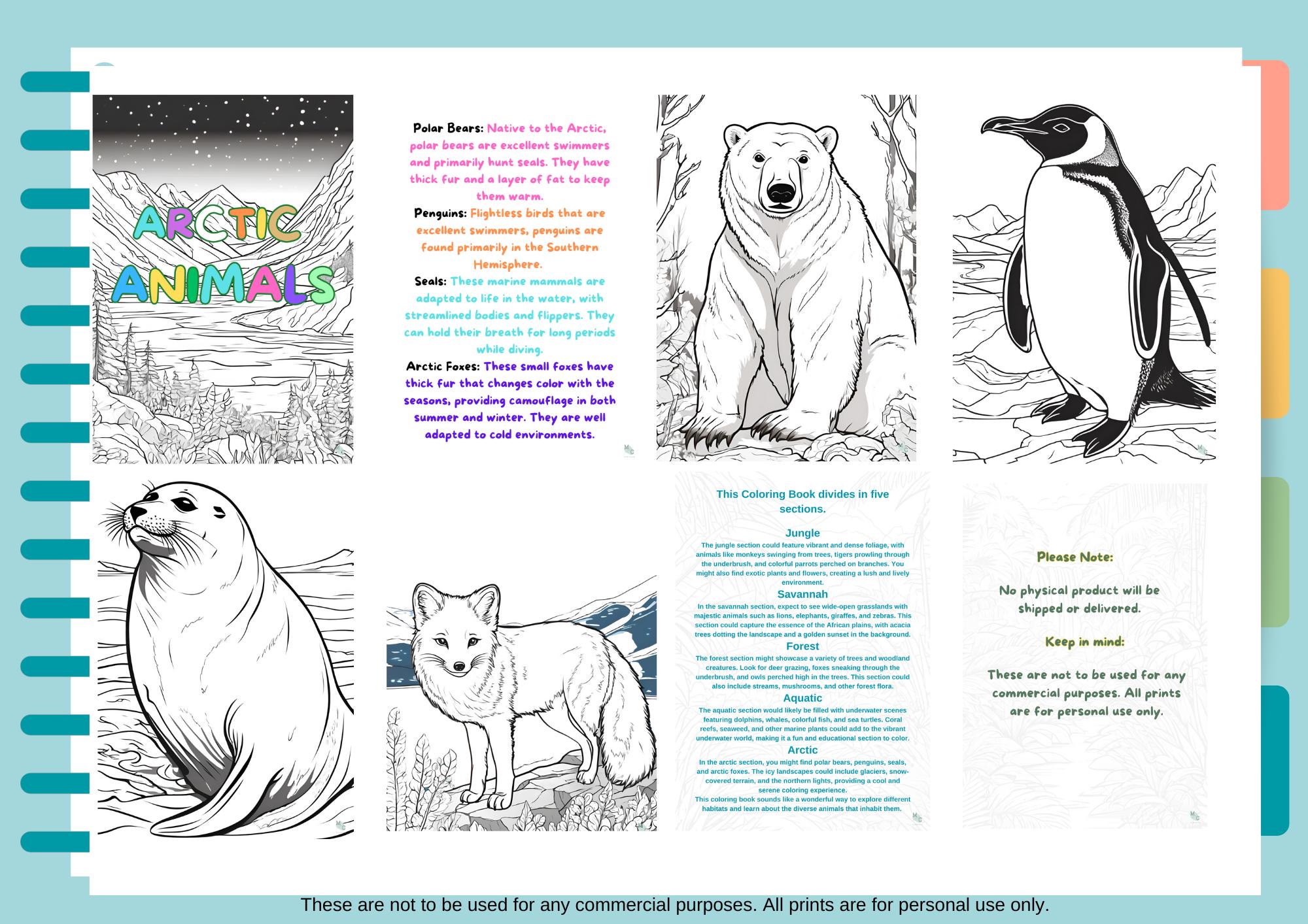 Educational Animal Coloring Pad, Coloring Pages, Activity Worksheets - Etsy