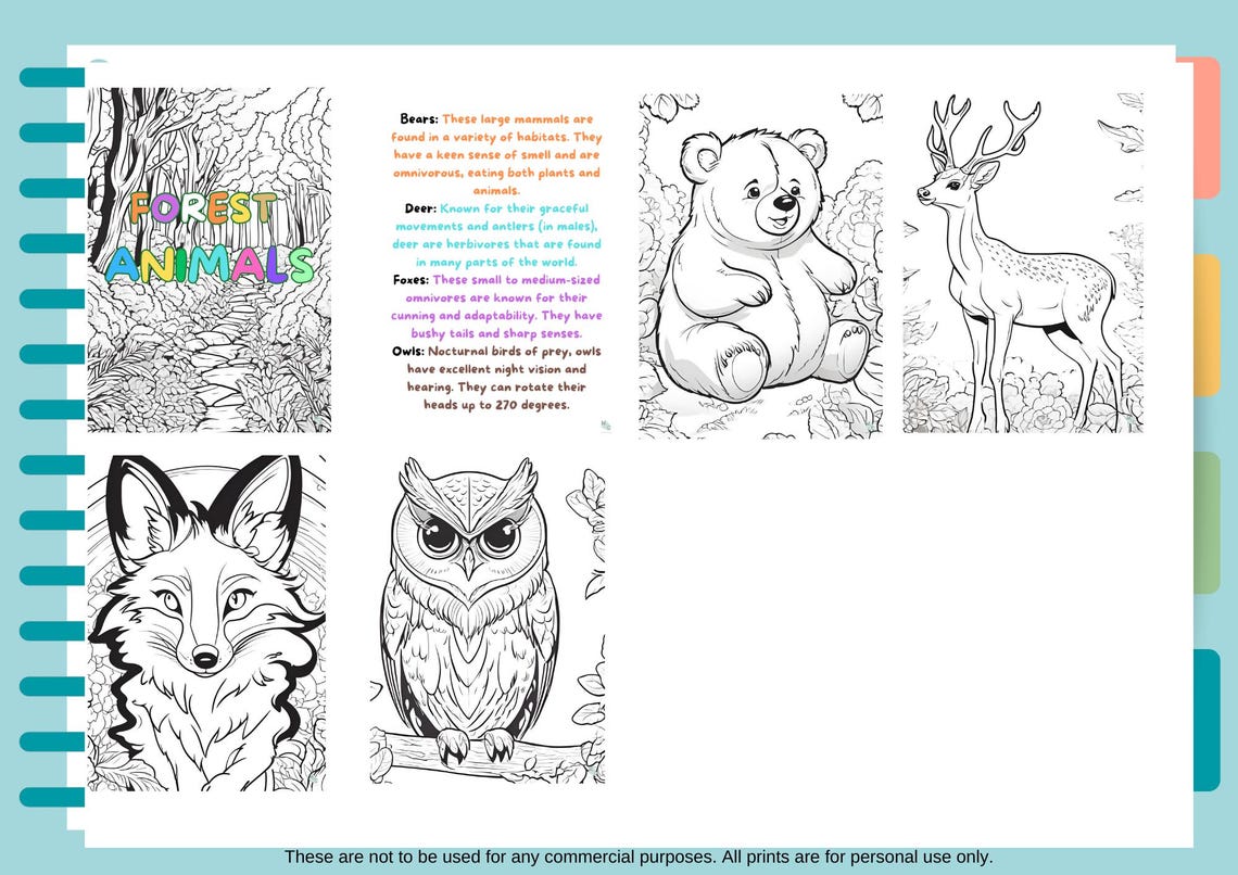Educational Animal Coloring Pad, Coloring Pages, Activity Worksheets - Etsy