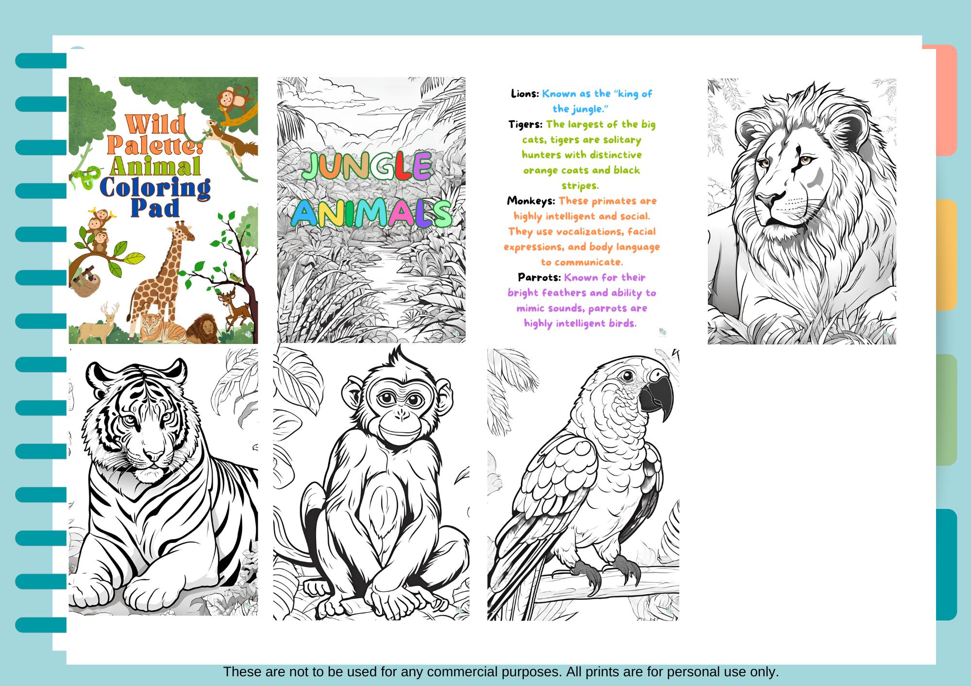 Educational Animal Coloring Pad, Coloring Pages, Activity Worksheets - Etsy