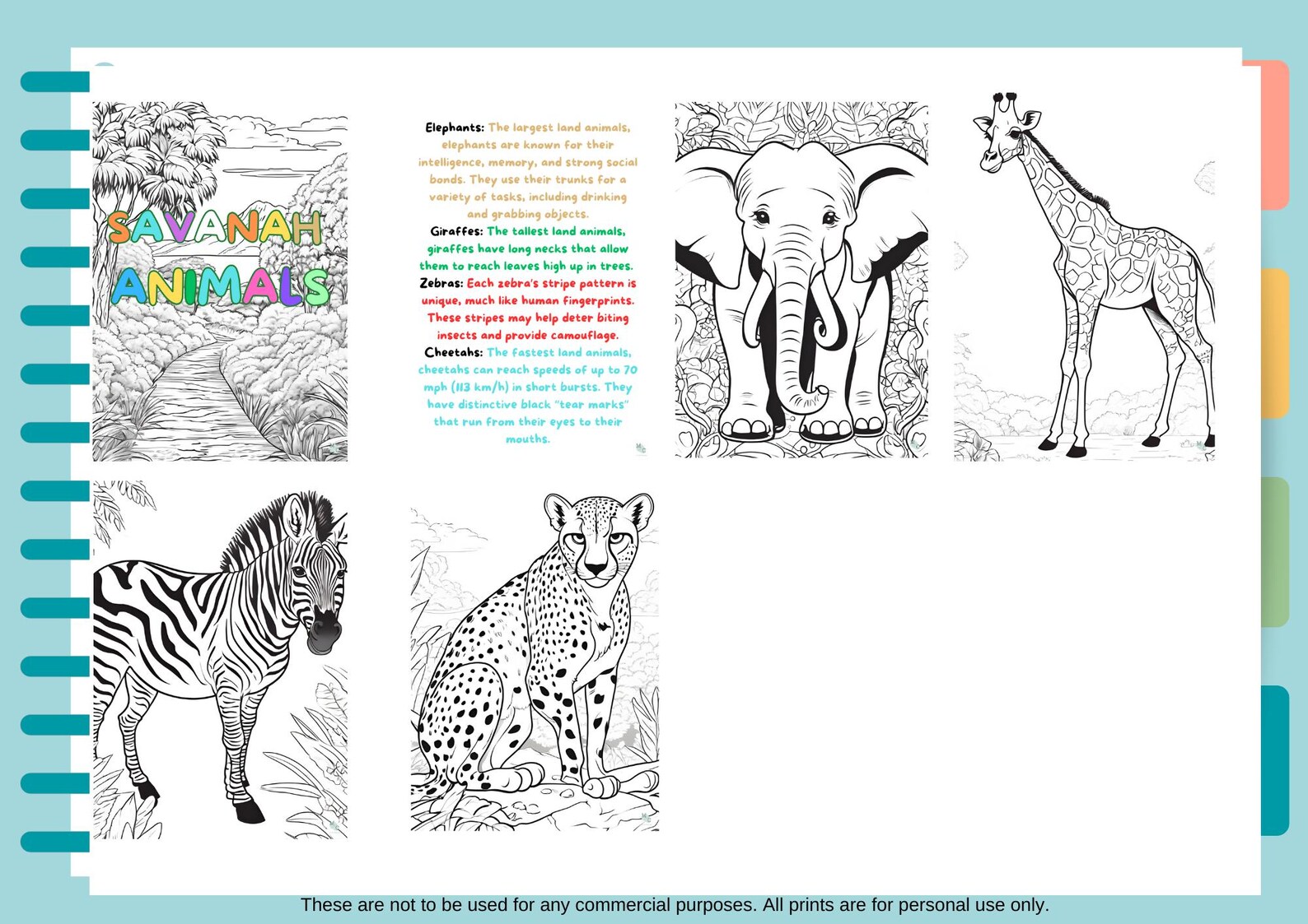 Educational Animal Coloring Pad, Coloring Pages, Activity Worksheets - Etsy