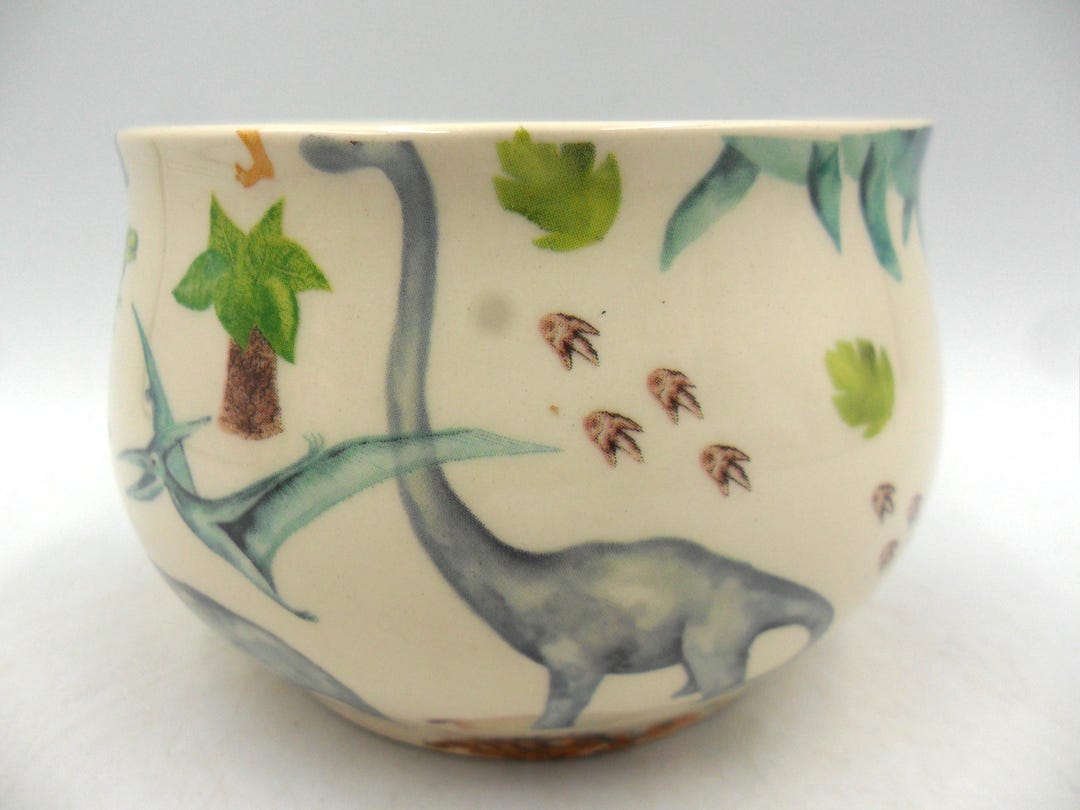 Large Open Sugar Bowl in Dinosaur Design by Heron Cross Pottery - Etsy
