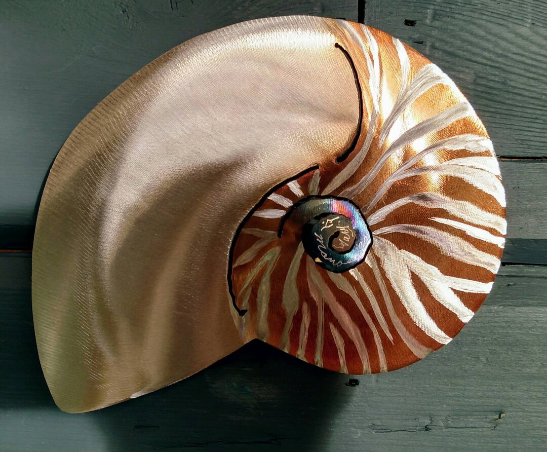 Small Nautilus Shell Metal Ocean Decor Stainless Steel Beach Cottage ...