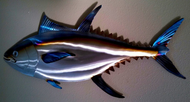 Albacore Atlantic Bluefin Blue Fin Skipjack Bigeye Big Eye Tuna Fish ...