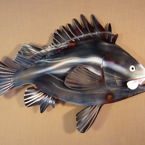 Stainless Steel Rockfish Black Rock Fish Deep Sea Bass Fisherman ...