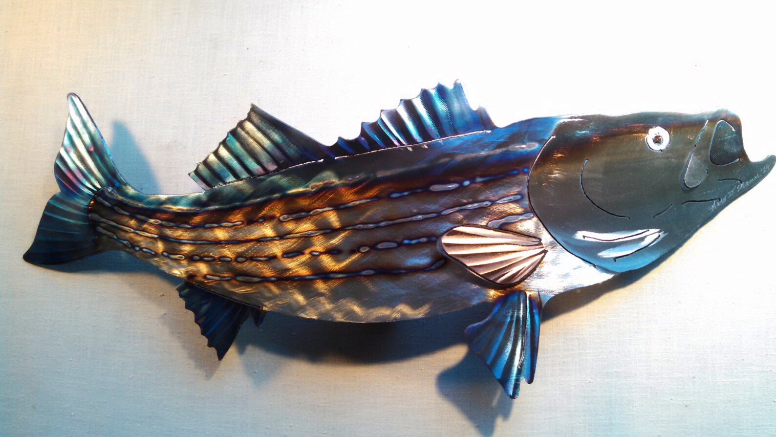 Striped Bass Striper Rockfish Fish Fly Fishing Fisherman Canada ...