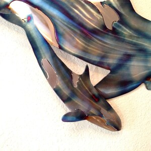 Mother & Baby Orca Orcas Whidbey Island Killer Whale Whales Coast ...