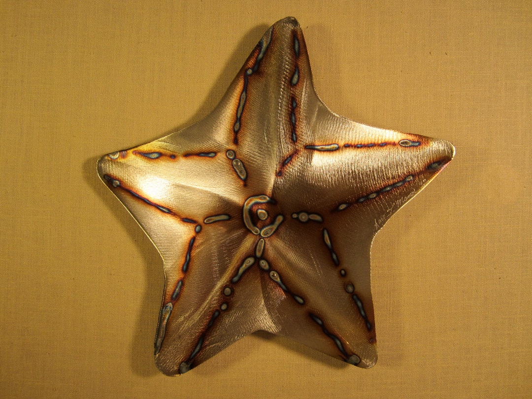 Bat Starfish Star Fish Steel Wall Art Metal Sea Ocean Beach House ...
