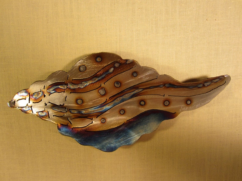 Sea Shell Shells Steel Wall Art Metal Ocean Beach Combing | Etsy