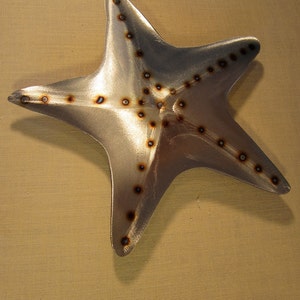 Bat Starfish Star Fish Steel Wall Art Metal Sea Ocean Beach House ...