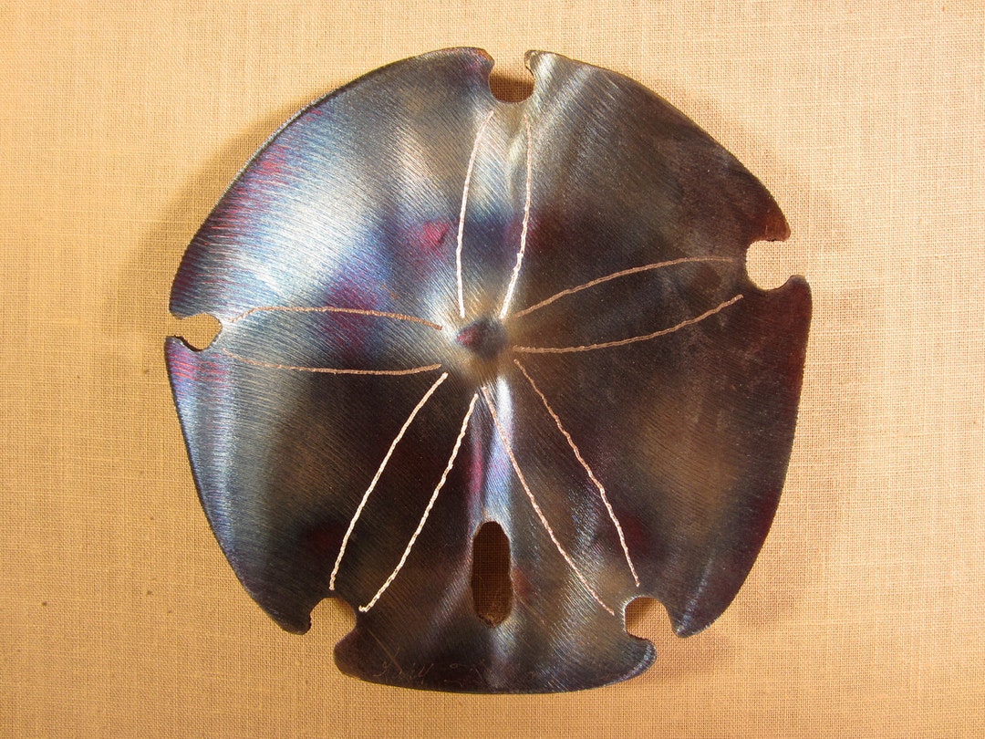 Sand Dollar Steel Wall Art Metal Ocean Beach House Coastal Cottage Home ...
