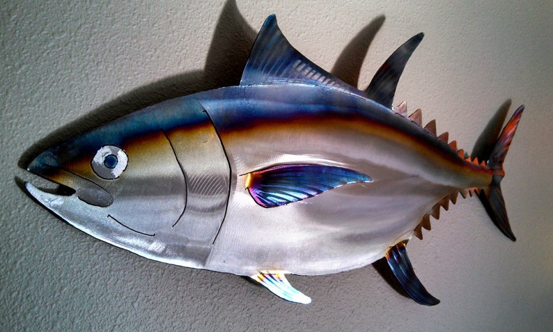 Albacore Atlantic Bluefin Blue Fin Skipjack Bigeye Big Eye Tuna Fish ...