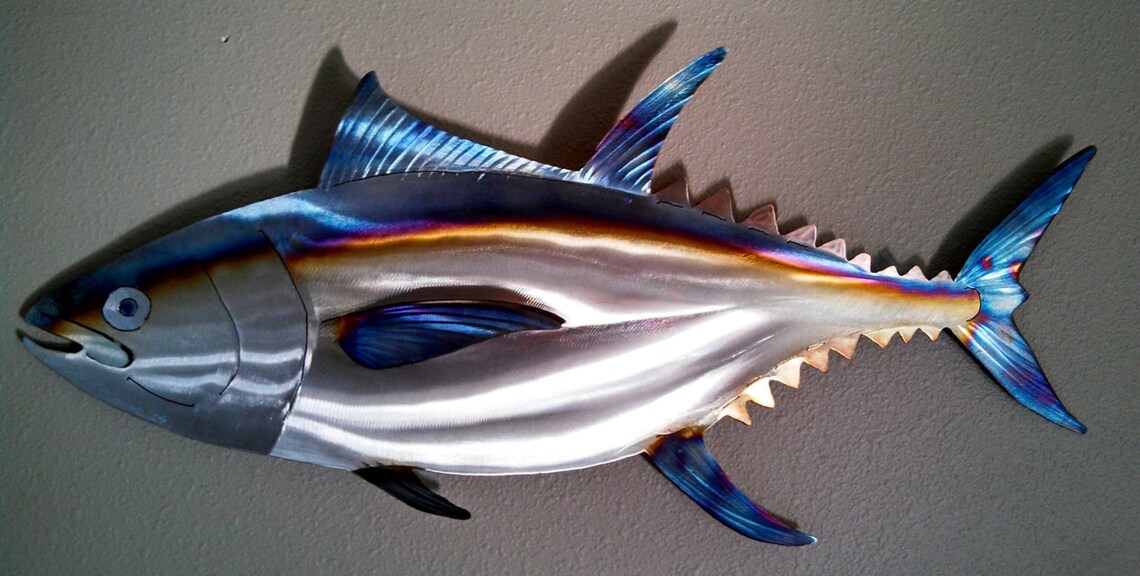 Albacore Atlantic Bluefin Blue Fin Skipjack Bigeye Big Eye Tuna Fish ...