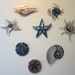 Sand Dollar Sanddollar Steel Wall Art Metal Ocean Beach House Coastal ...