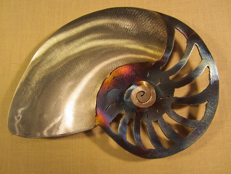 Small Nautilus Shell Stainless Steel Wall Art Metal Sea Ocean | Etsy