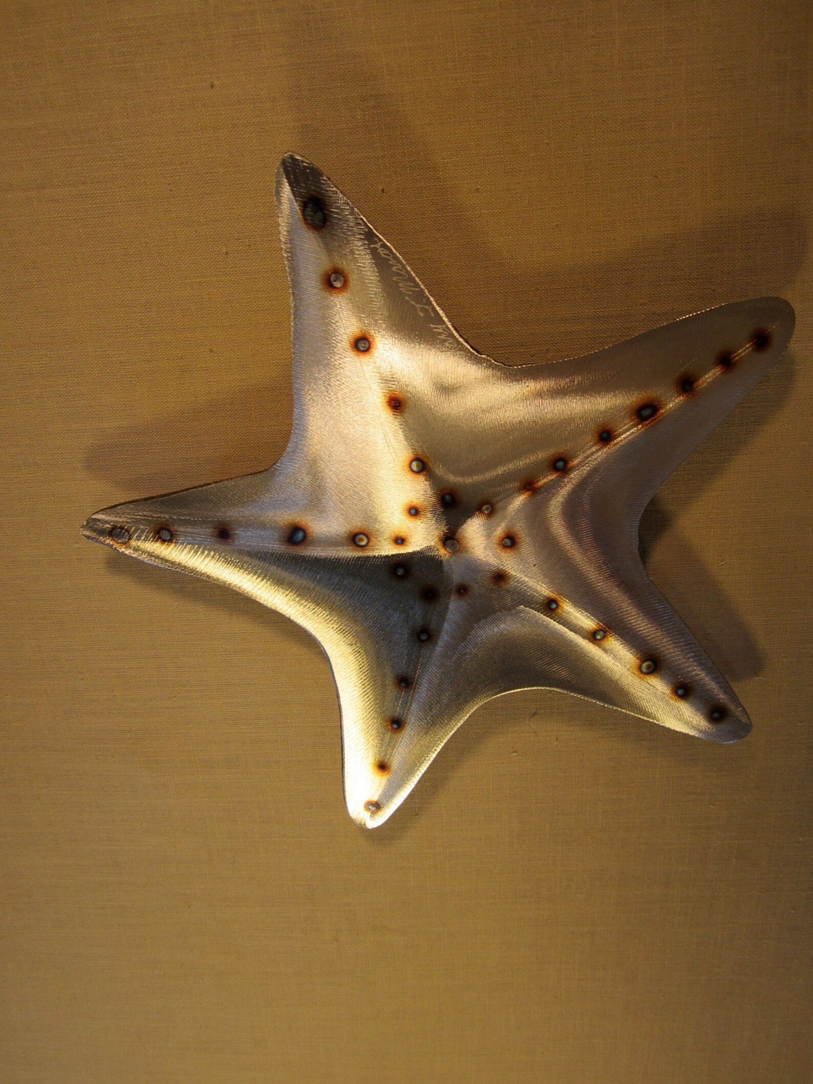 Bat Starfish Star Fish Steel Wall Art Metal Sea Ocean Beach | Etsy