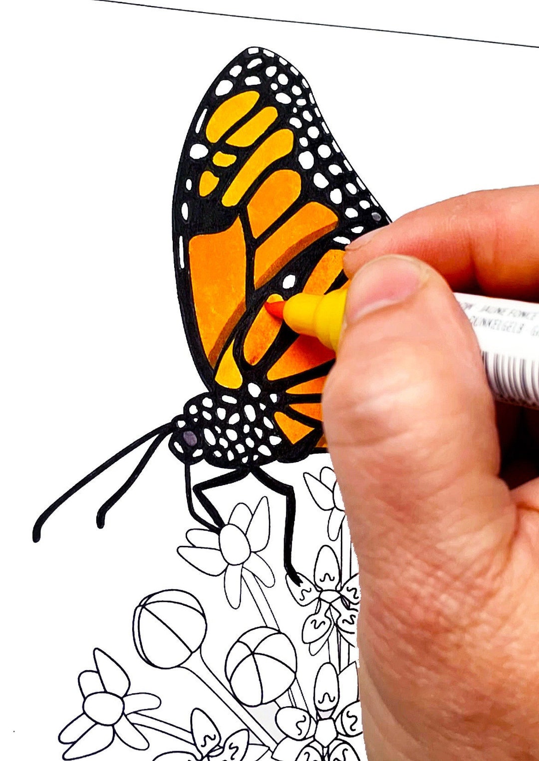 Monarch Butterfly // Coloring Page // Digital Download - Etsy