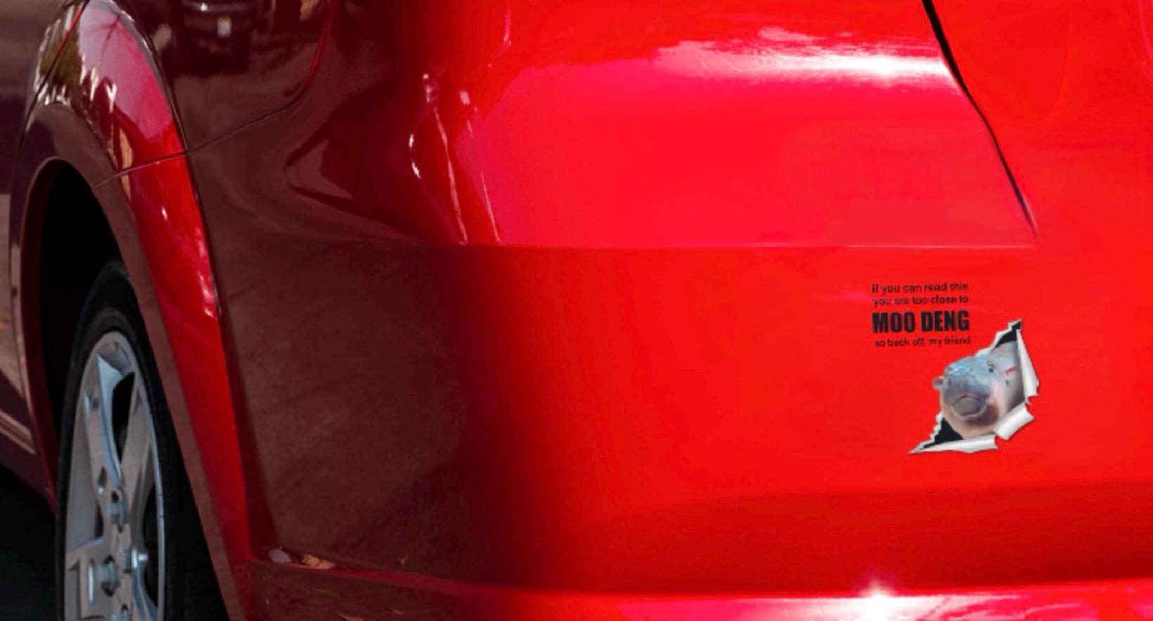 Moo Deng Car Sticker | Gift | Funny | Baby Hippo | Outdoor Sticker ...