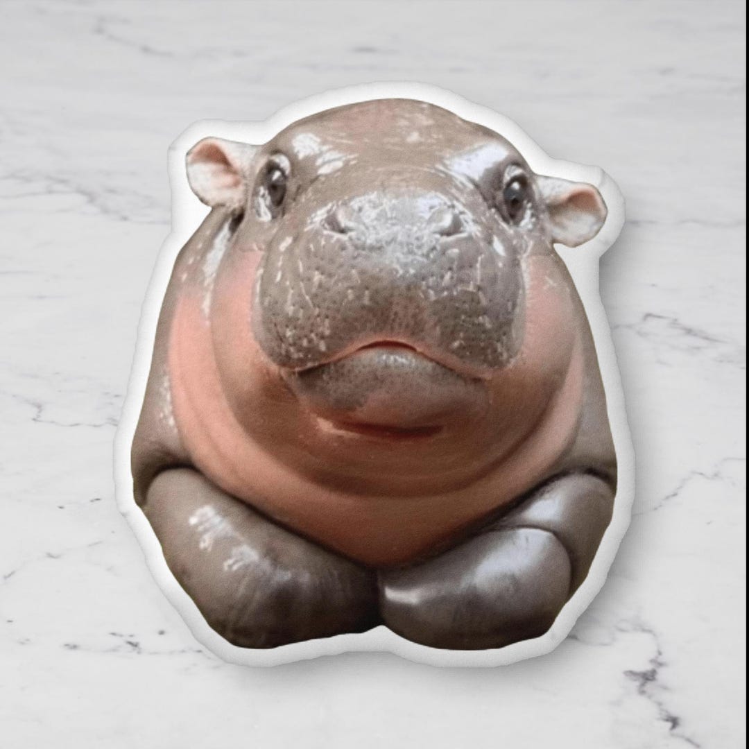 Moo Deng Shaped Pillow | Moo Deng | Moo Deng Merch | Pillow | Baby ...