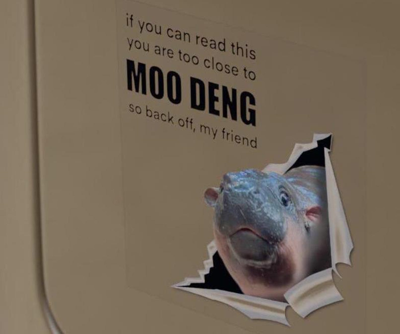 Moo Deng Car Sticker | Gift | Funny | Baby Hippo | Outdoor Sticker ...