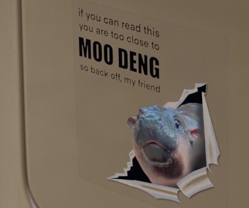 Moo Deng Car Sticker | Gift | Funny | Baby Hippo | Outdoor Sticker ...