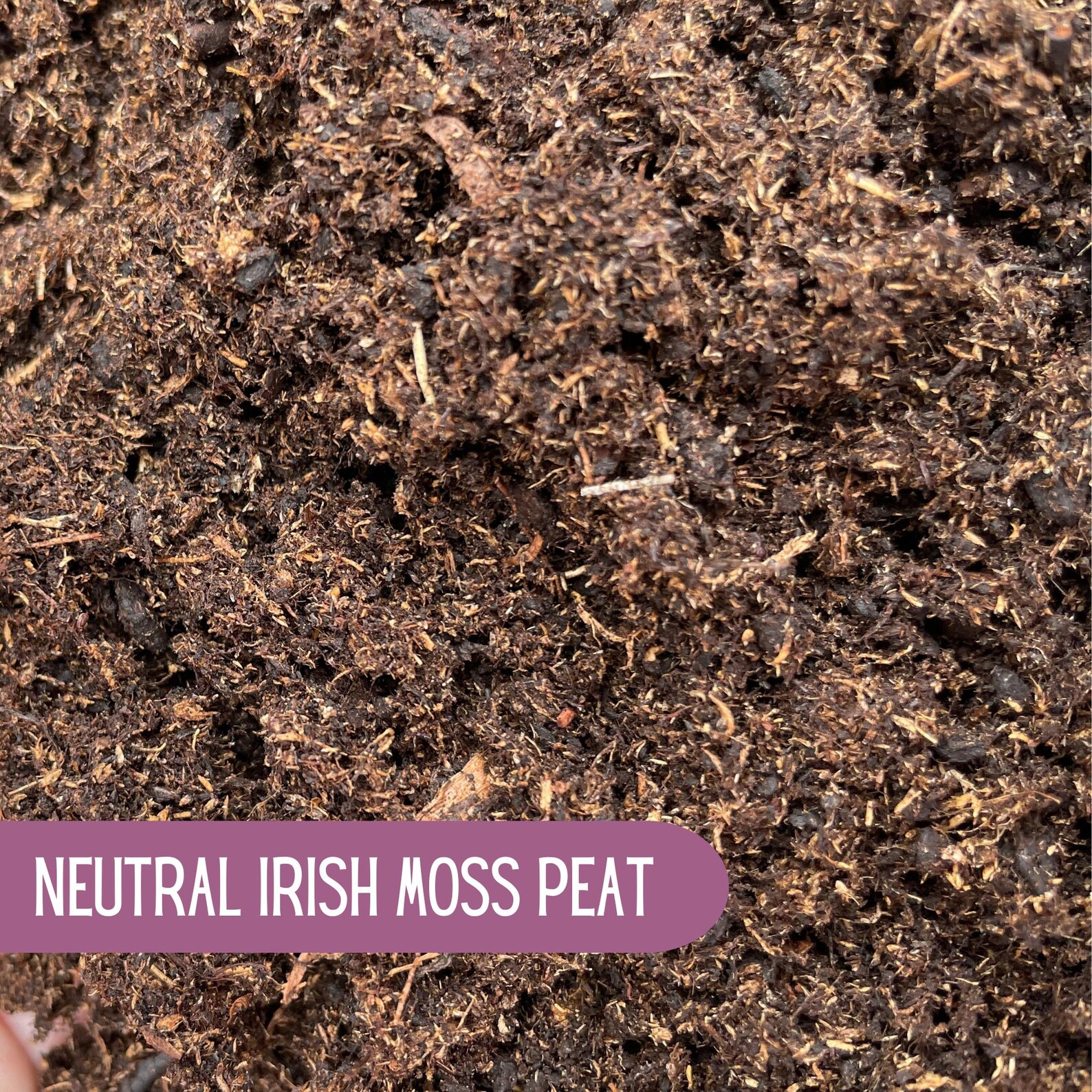 Carnivorous Plant Compost - Potting & Growing Compost for Carnivorous ...