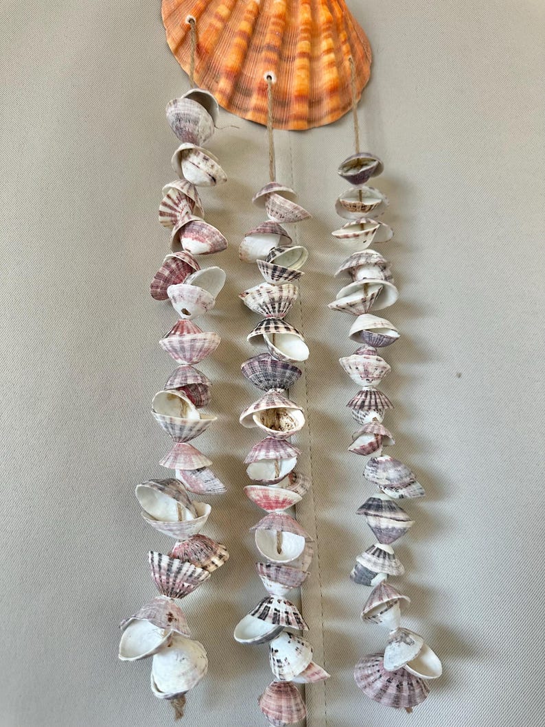 Hanging Scallop Shell Wall Decor - Etsy