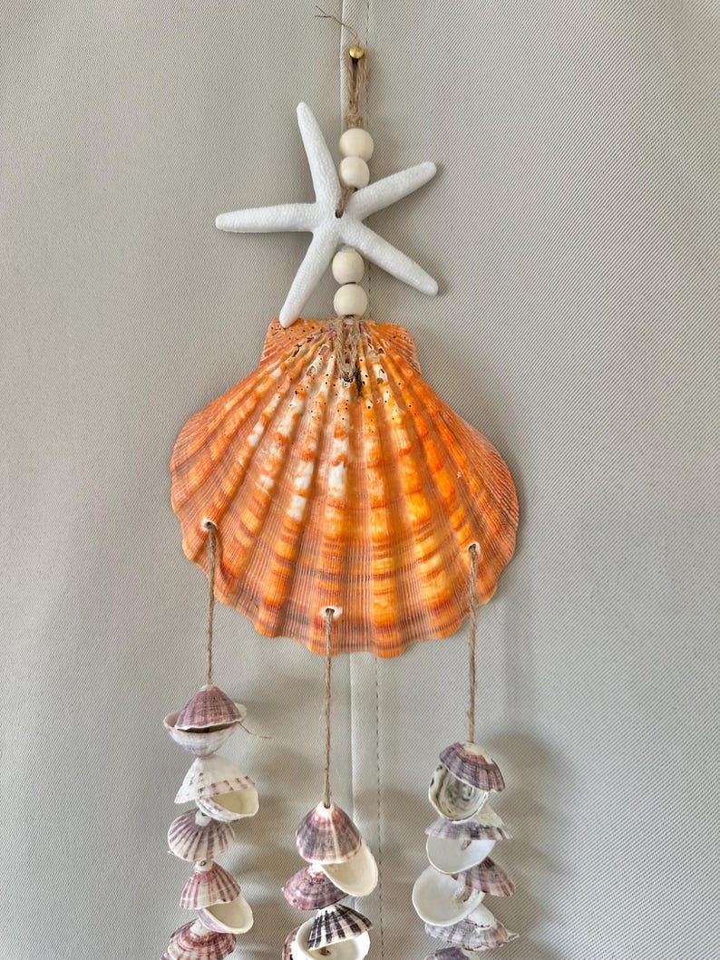 Hanging Scallop Shell Wall Decor - Etsy
