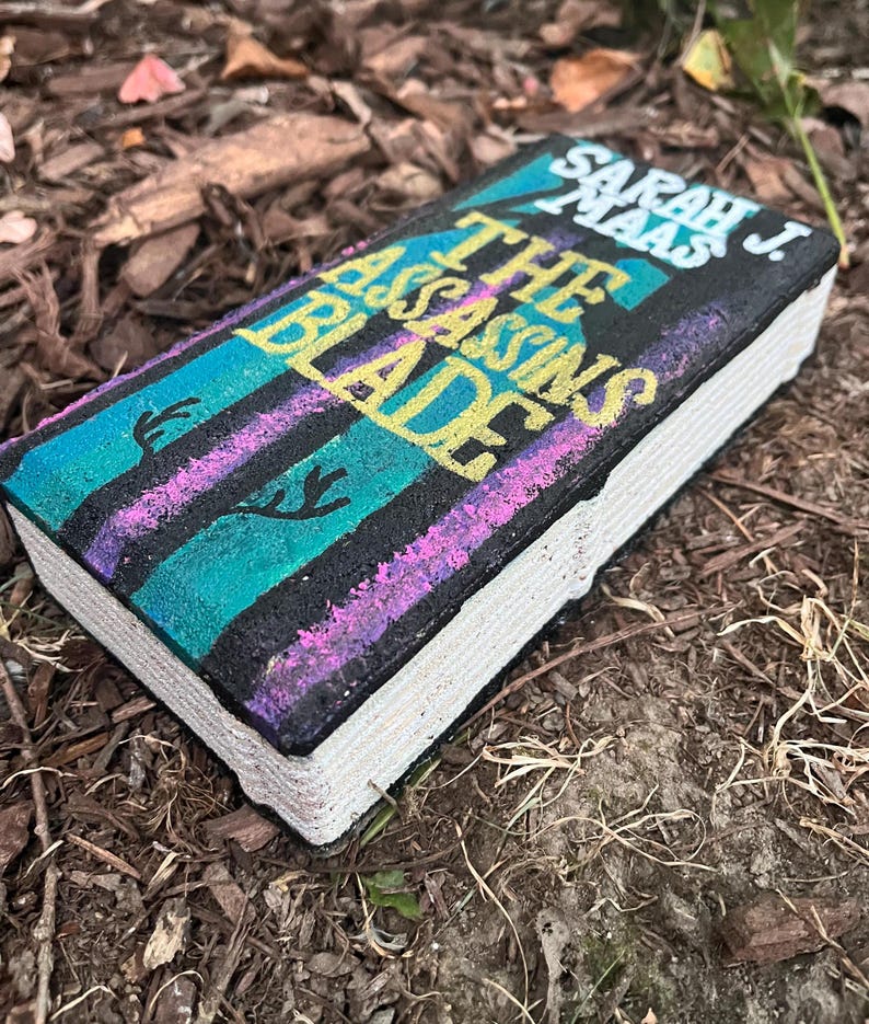Book Brick: the Assassins Blade by Sarah J. Maas - Etsy