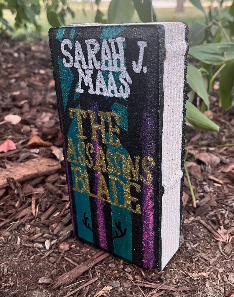 Book Brick: the Assassins Blade by Sarah J. Maas - Etsy