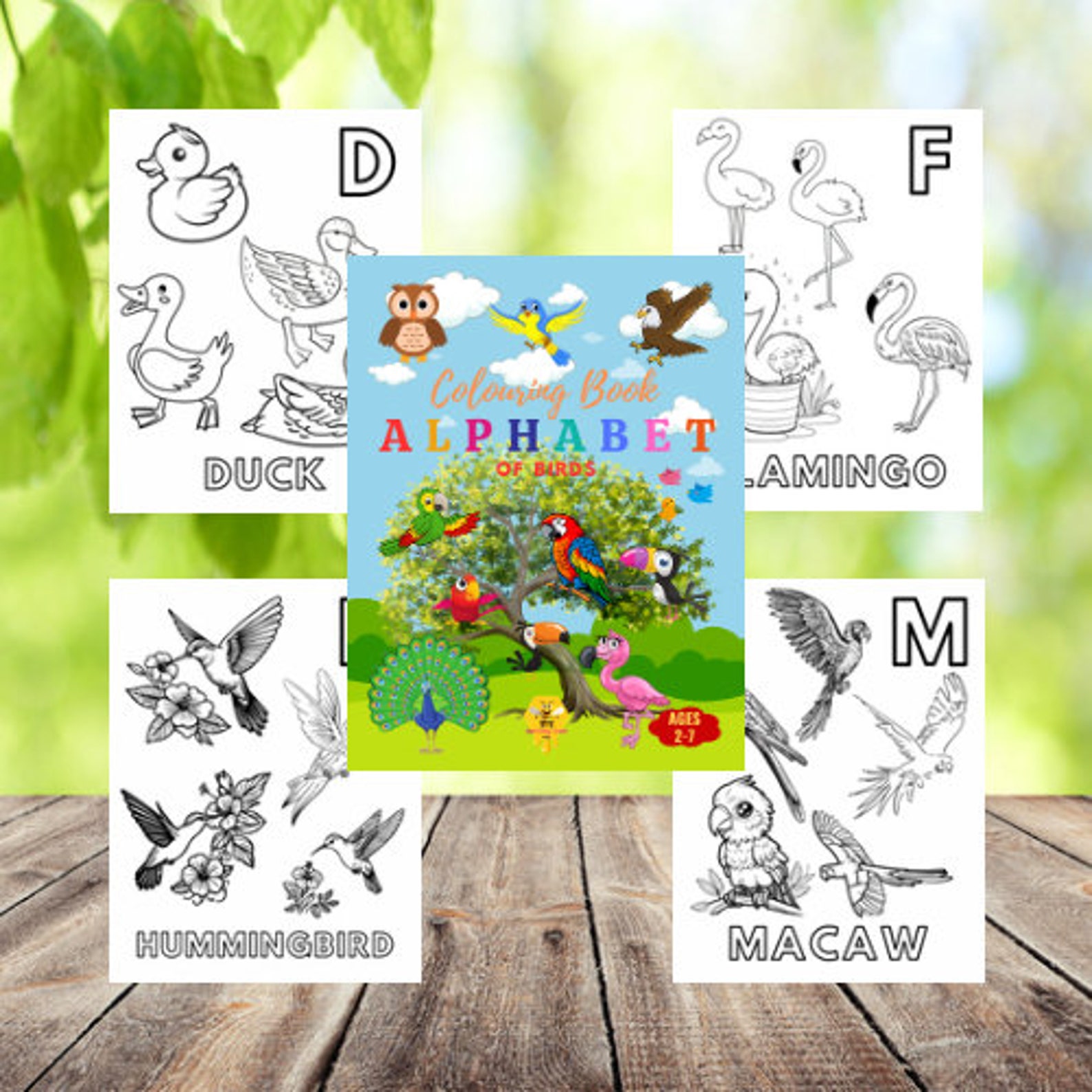 Alphabet Coloring Book of Birds Discover and Color the Alphabet With ...