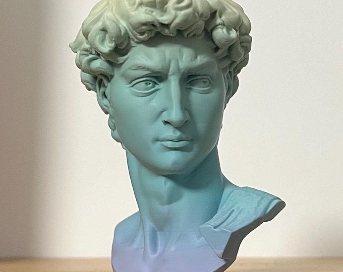 Head of Michelangelo's David Color Gradient Bust Renaissance Art Sizes ...