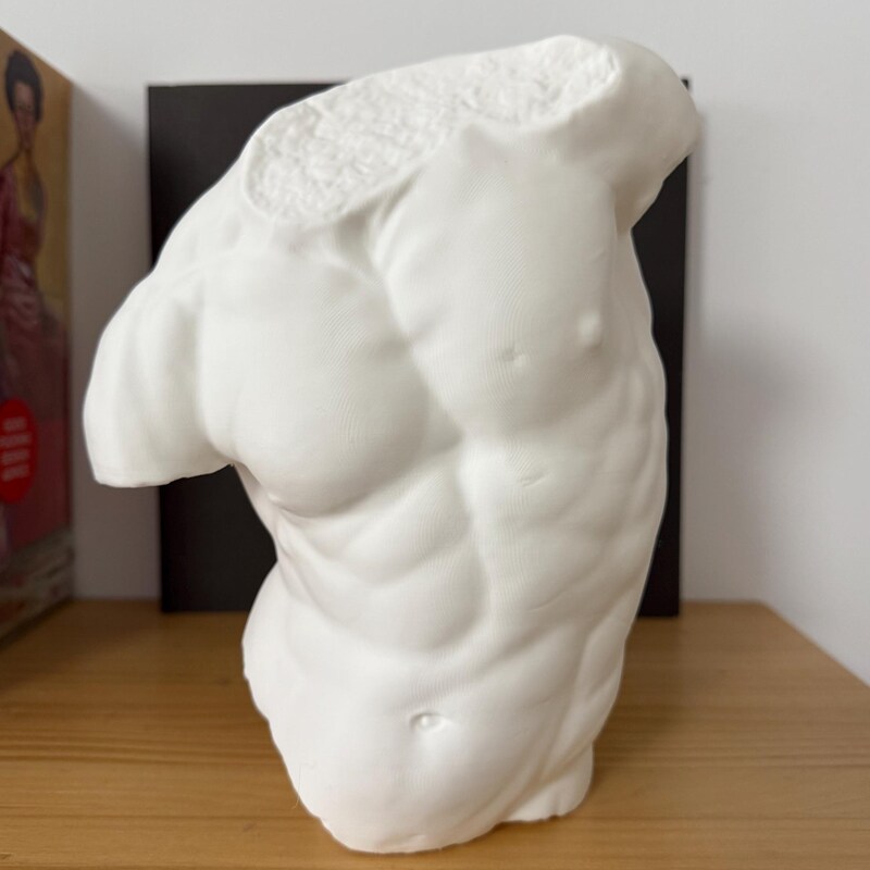 Torso of Roman - Etsy