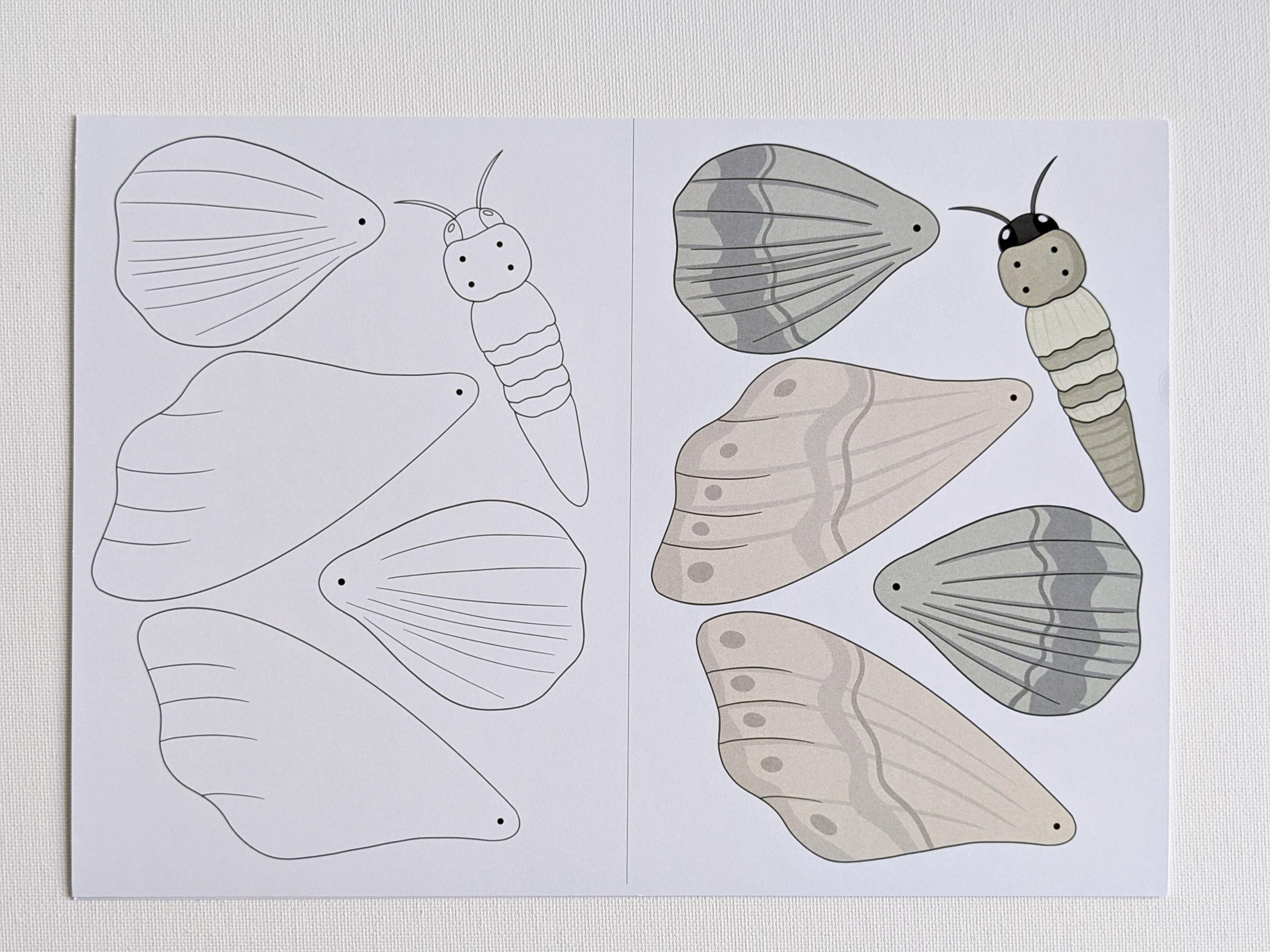 Articulated Paper Doll DIY Kit - Etsy