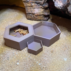 Triple Dish | Leopard Gecko Dish | Reptile Dish | Gecko Dish | Gecko ...