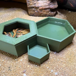 Triple Dish | Leopard Gecko Dish | Reptile Dish | Gecko Dish | Gecko ...