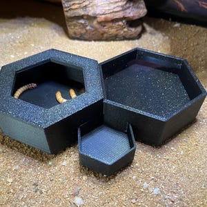 Triple Dish | Leopard Gecko Dish | Reptile Dish | Gecko Dish | Gecko ...