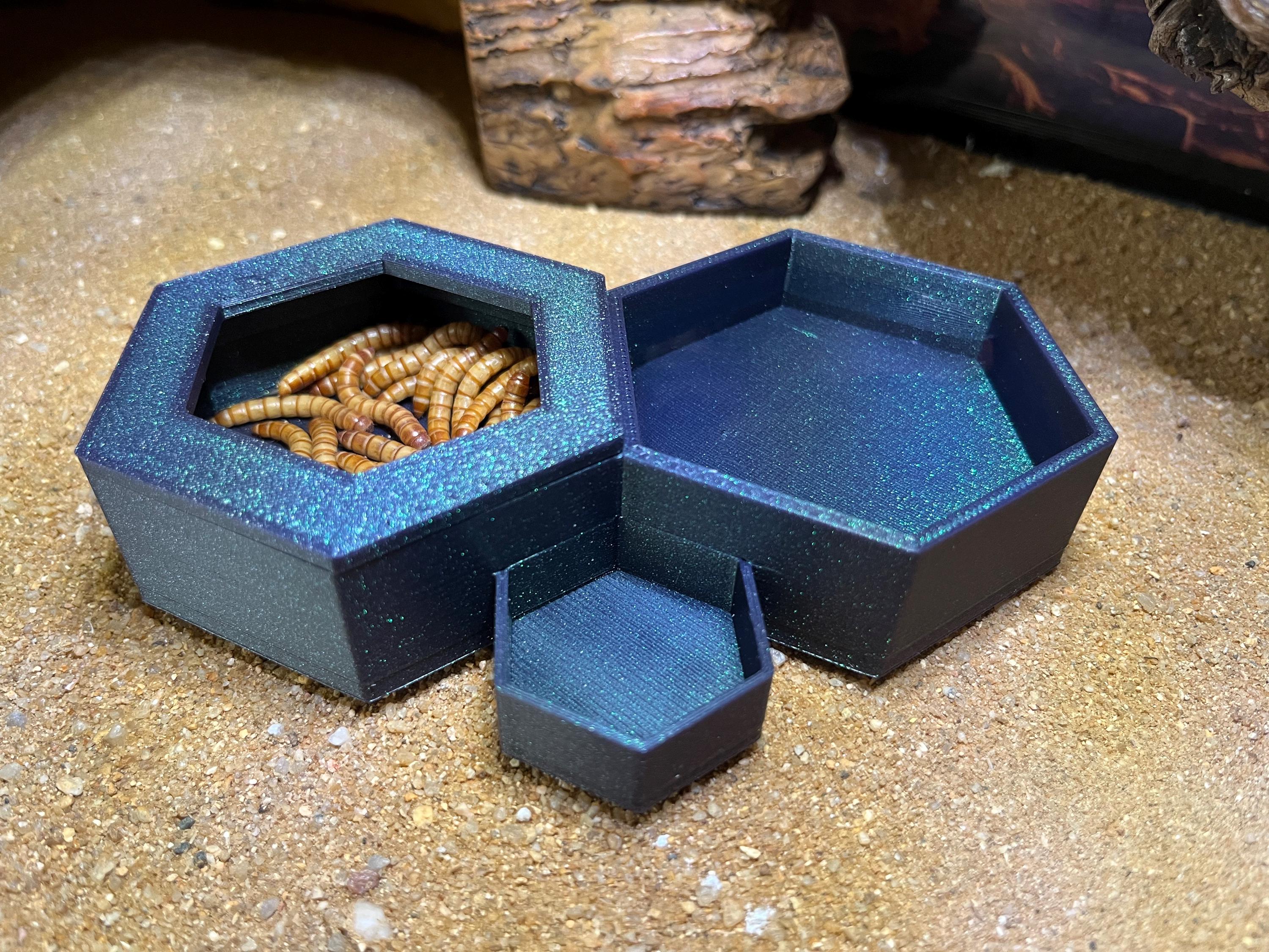 Triple Dish | Leopard Gecko Dish | Reptile Dish | Gecko Dish | Gecko ...