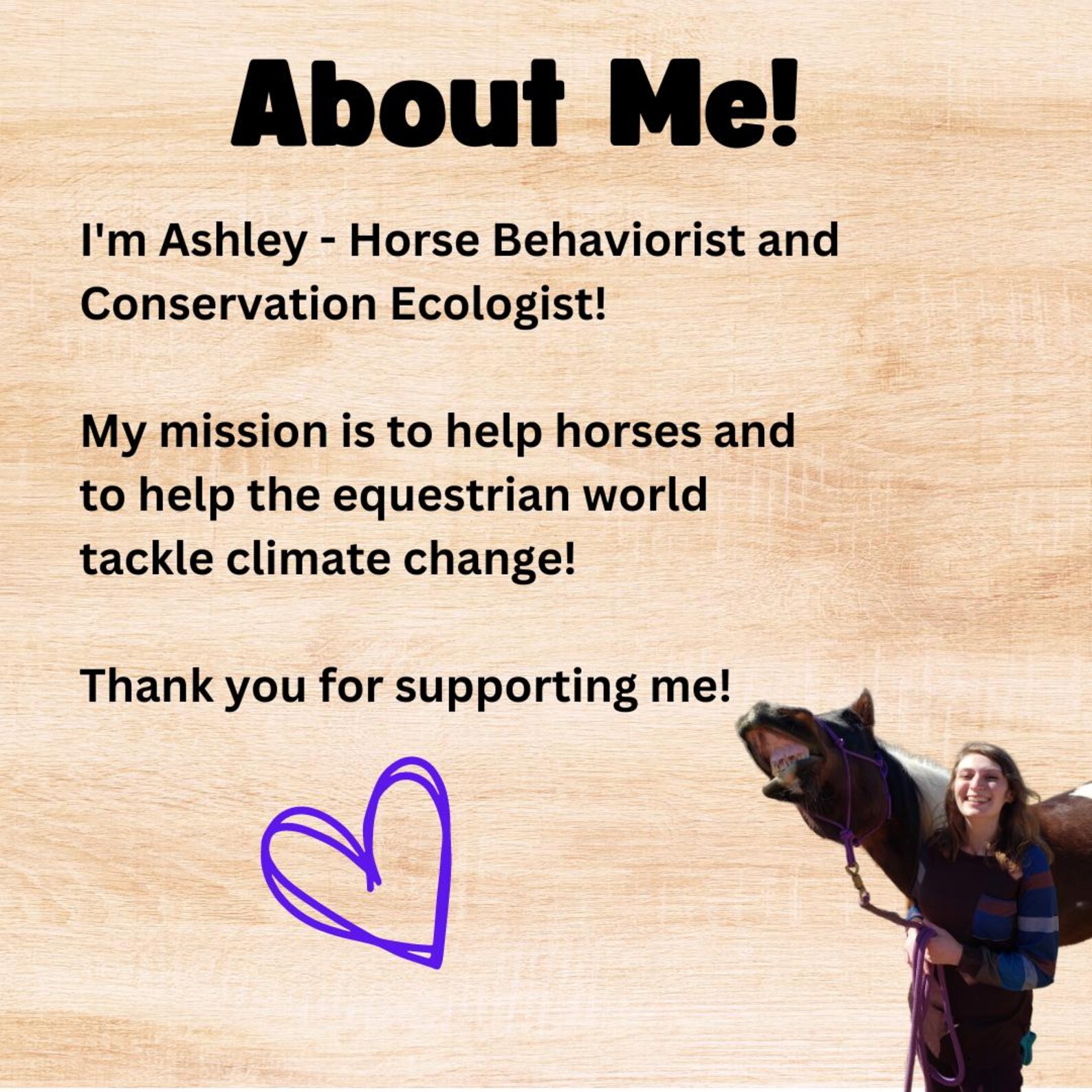 Horse Stall Digital Download Sign, Horse Stall Rest Sign, Horse Farm ...