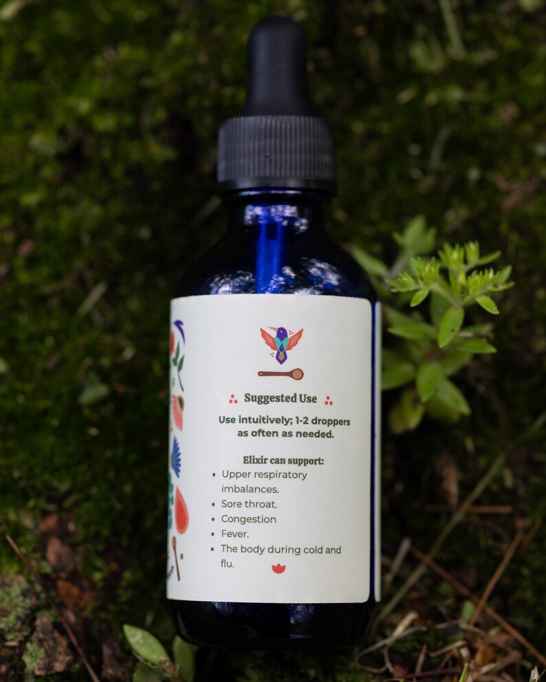 Cold Bee Gone Oxymel - Etsy