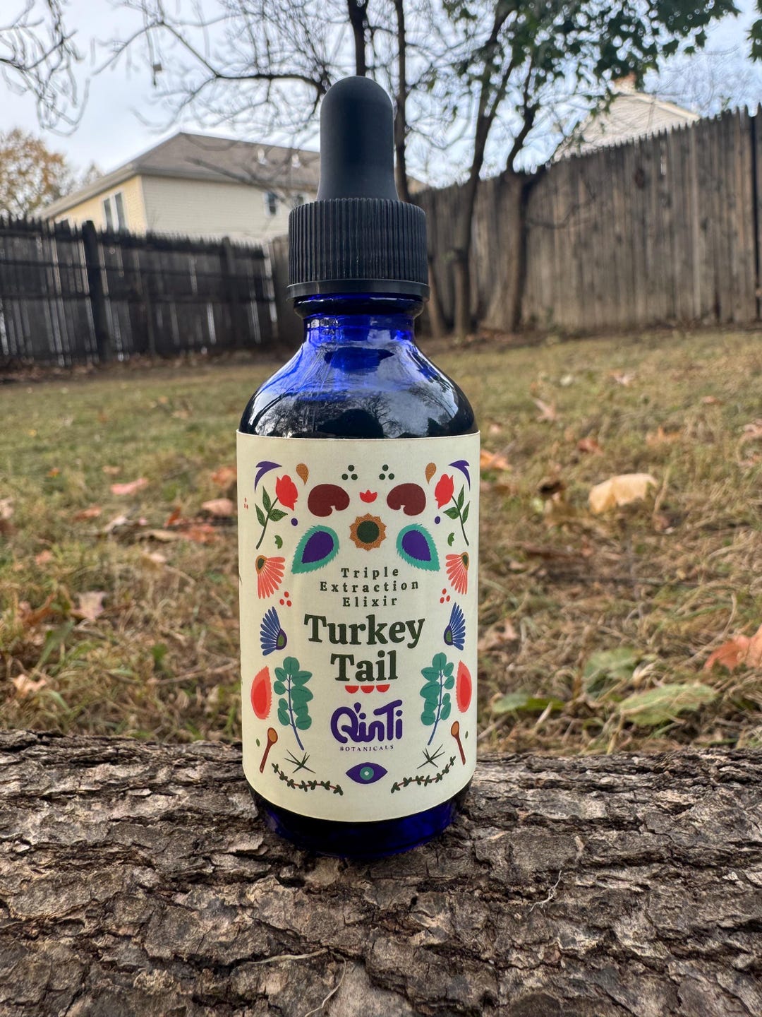Turkey Tail Triple Extraction Elixir - Etsy