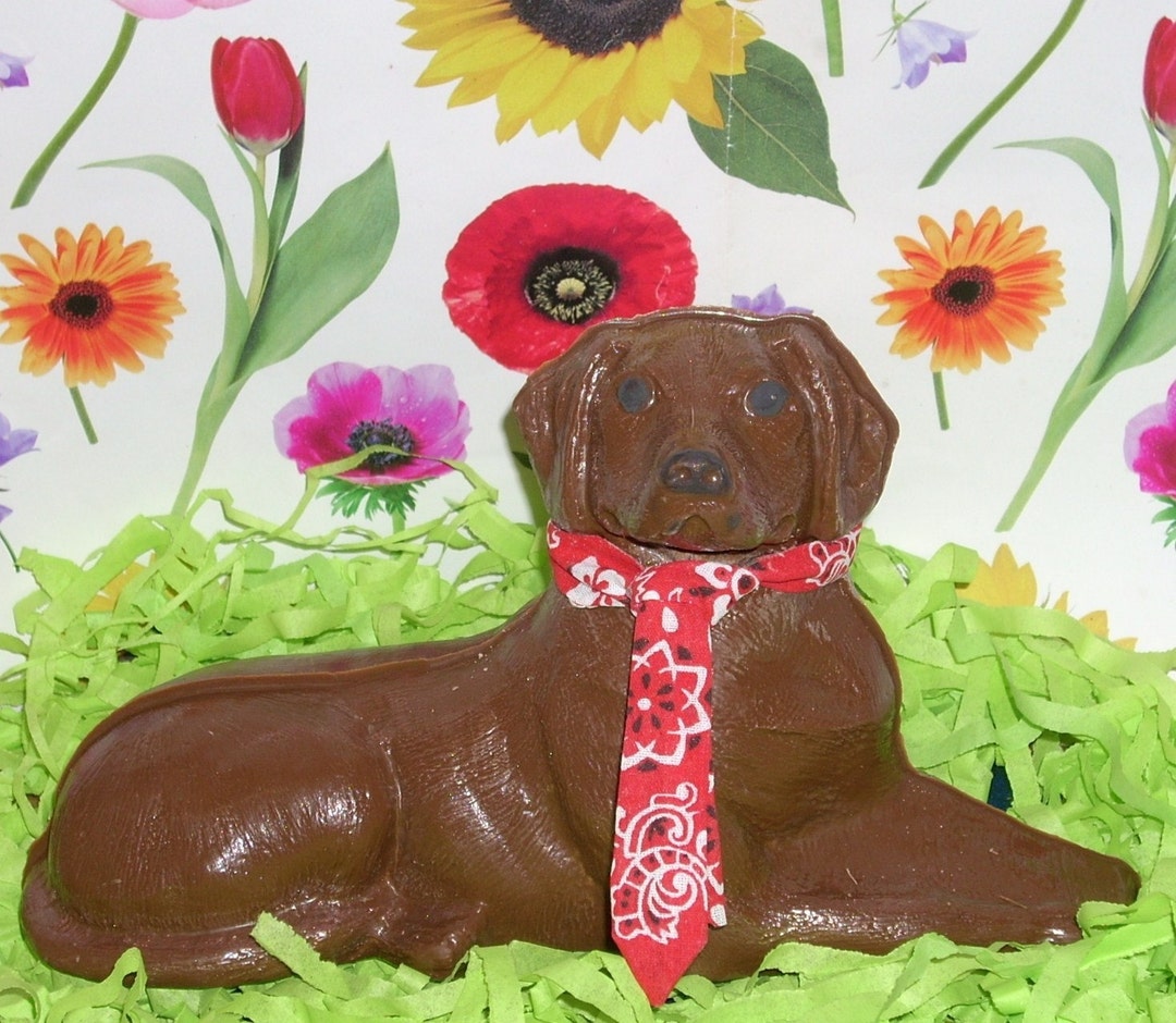 3D Chocolate Labrador Retriever - Etsy