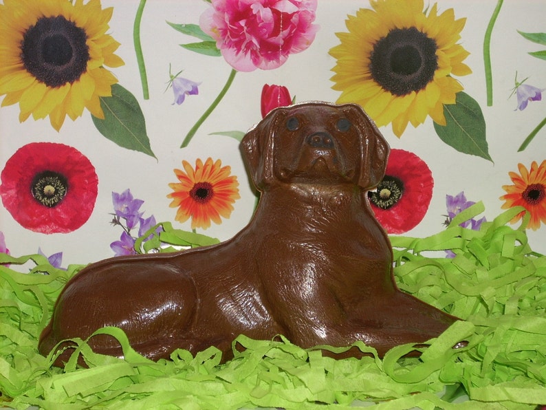 3D Chocolate Labrador Retriever | Etsy