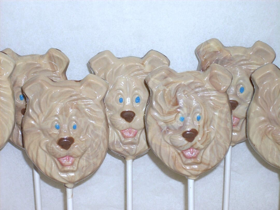 10 Chocolate Lion Lollipops - Etsy