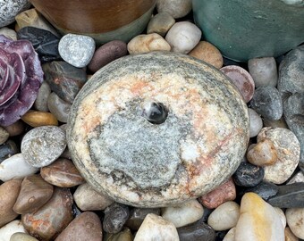 DIY Water Garden, Zen Garden, Bird Bath Fountain, Garden Oasis ...