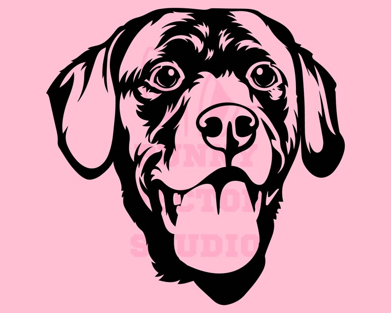 Labrador Svg, Lab Svg, Labrador Silhouette, Black Lab Svg, Labrador ...