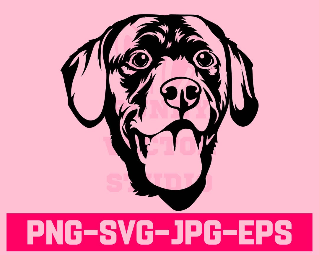 Labrador Svg, Lab Svg, Labrador Silhouette, Black Lab Svg, Labrador ...